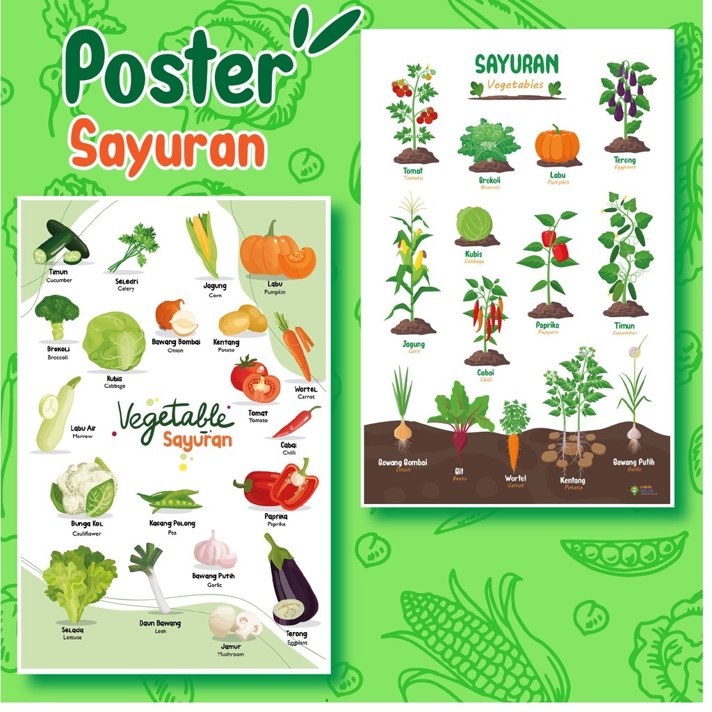 Jual Adaajaa Poster Belajar Mengenal Sayuran, Poster Edukasi Jenis ...