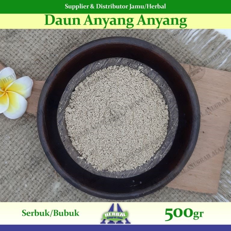 Jual Daun Anyang Anyang (Bubuk) 500Gr | Elaeocarpus Grandiflorus | Rejasa - 100% Murni #Herbal ...
