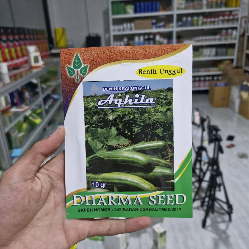 Jual Aqhila Benih Timun Kray Kemasan Original Pabrik Timun Krai Timun ...