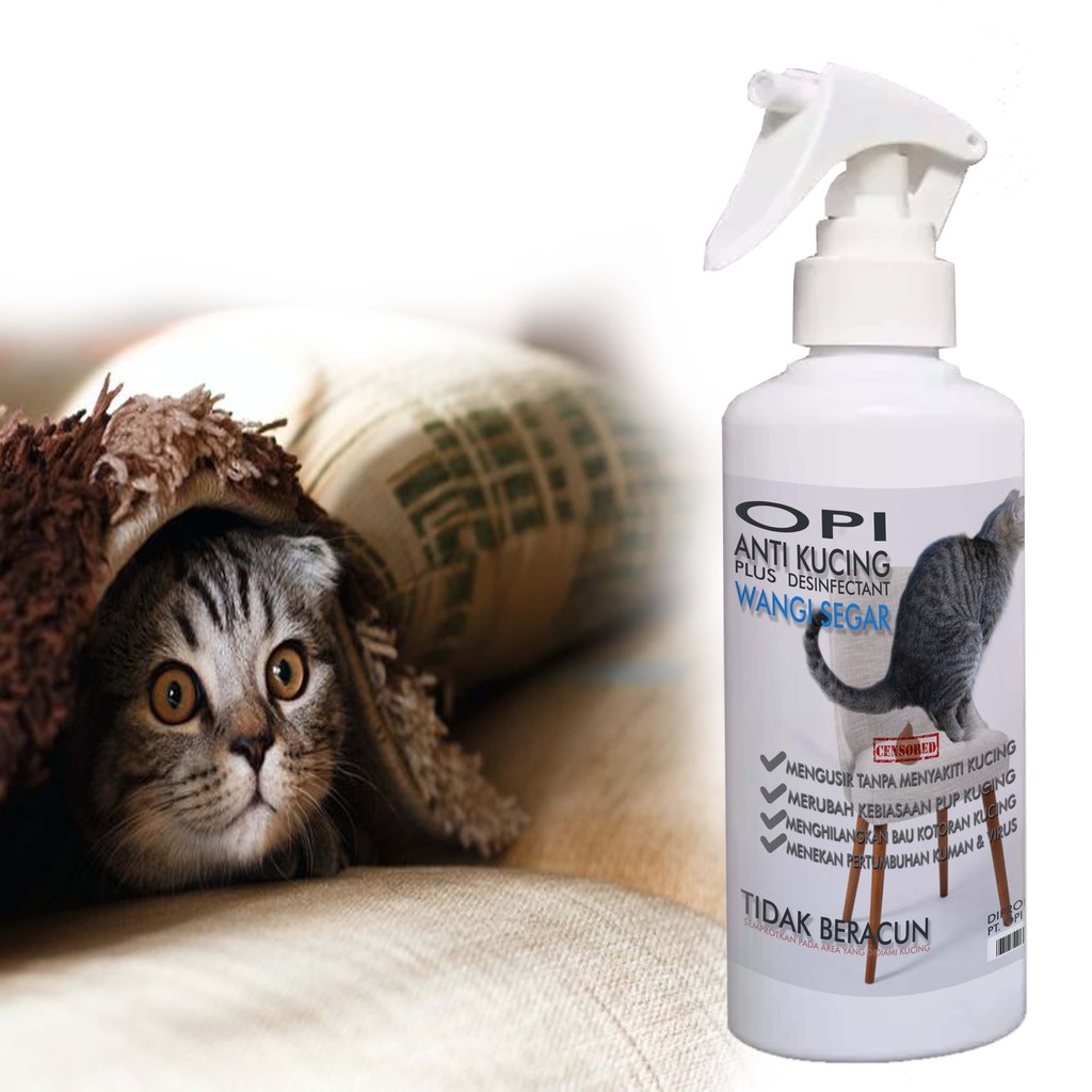 Jual pengusir kucing berak sembarangan atau merubah kebiasaan pup ...