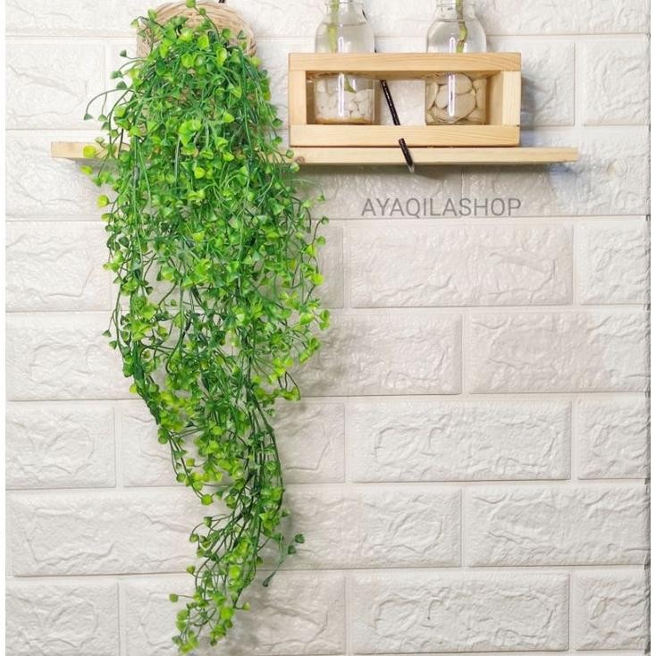 Jual TR24 1 Set Pot Daun Rambat / Tanaman juntai / Pajangan Rak Dinding ...