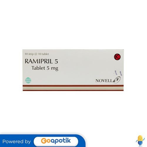 Jual RAMIPRIL NOVELL 5 MG BOX 100 TABLET | Shopee Indonesia