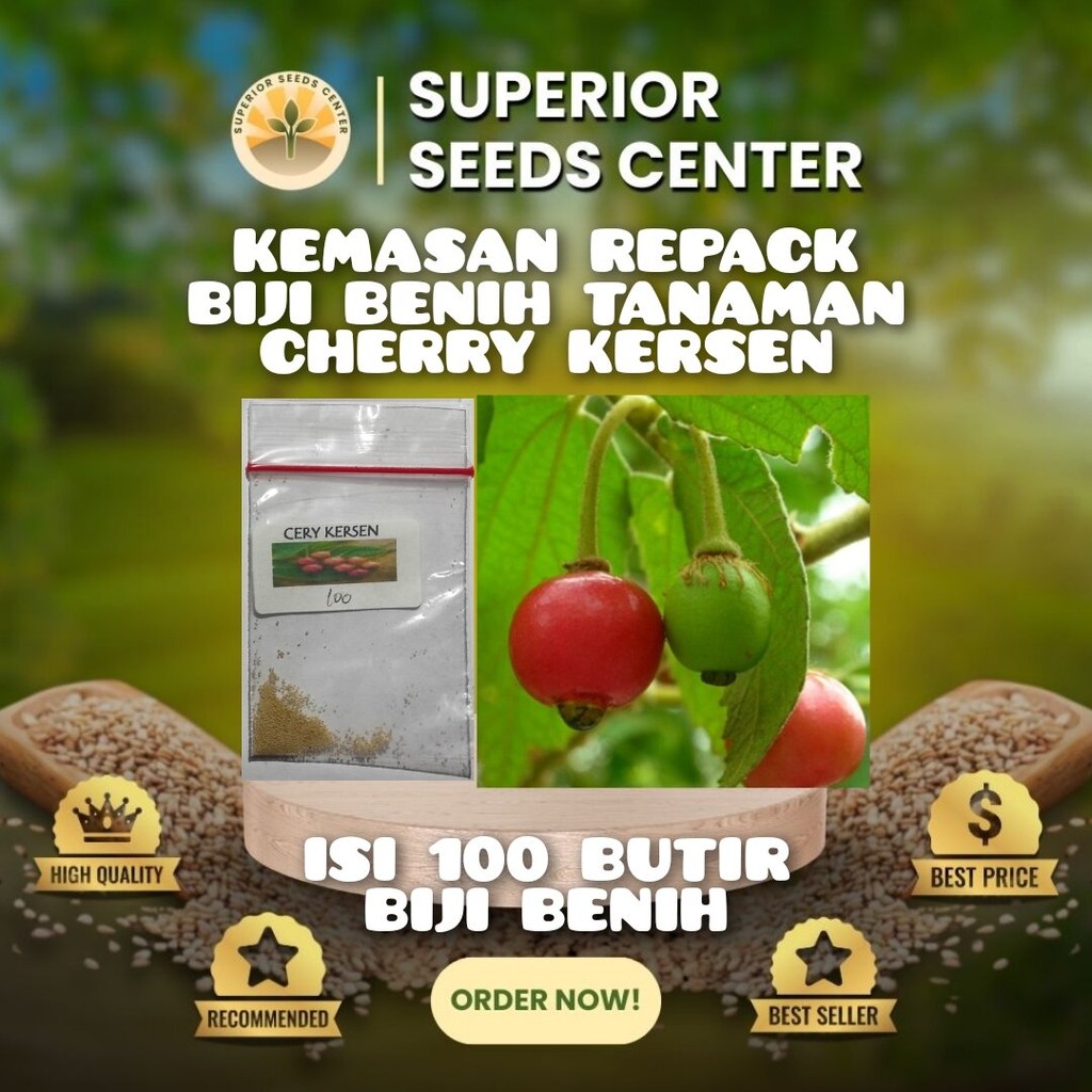Jual 100 Butir Biji Benih Tanaman Cherry Kersen | Ceri (Kemasan Repack ...