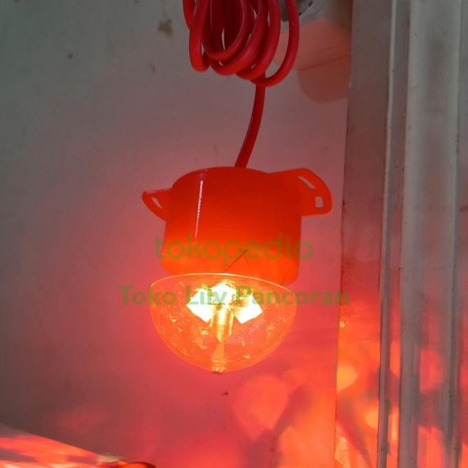 Jual Lampu LED Lampion / Lampu LED lentera / Isi Lampu Lampion Lentera ...