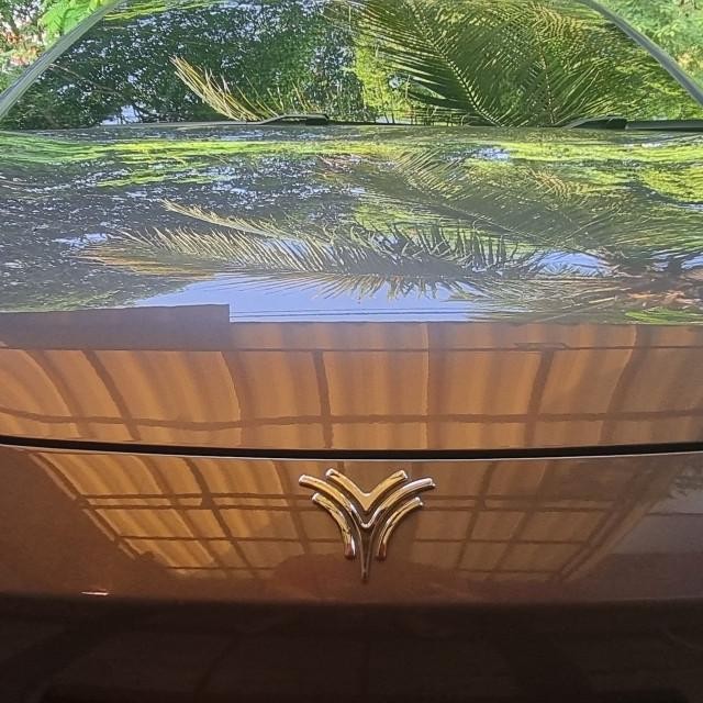 Jual LOGO EMBLEM STICKER NETA V MOBIL READY STOCK | Shopee Indonesia