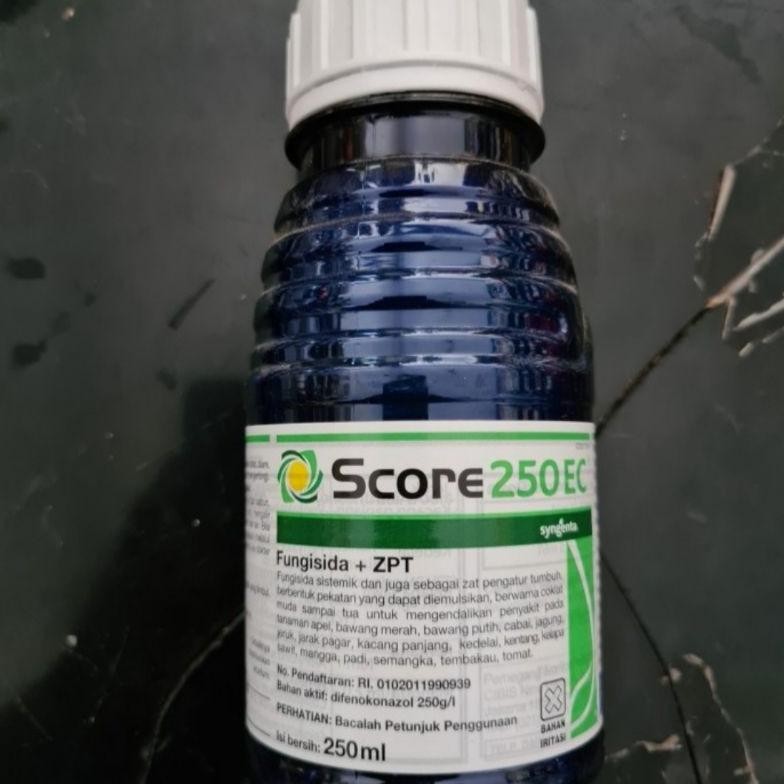 Jual SCORE 250Ec 250ml | Shopee Indonesia