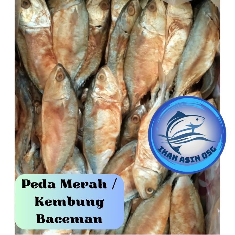 Jual ikan asin peda merah / kembung baceman (size jumbo) produk pilihan ...