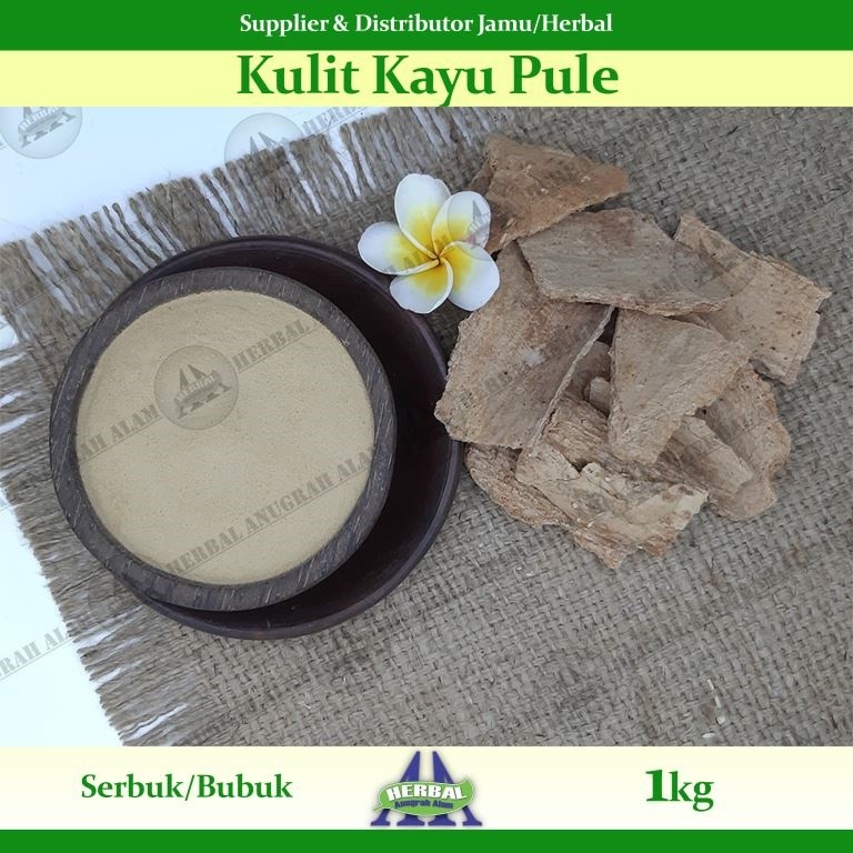 Jual Kulit Kayu Pule (Bubuk) 1Kg - 100% Murni #Herbal | Shopee Indonesia