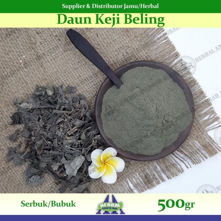 Jual Daun Keji Beling (Bubuk) 500Gr | Strobilanthes Crispus | Pecah ...