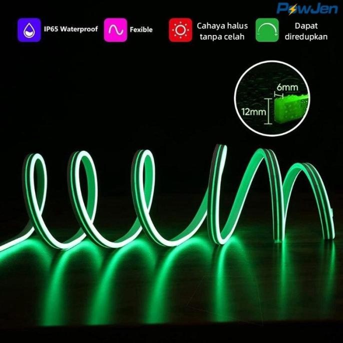 Jual PAKET LED NEON FLEX RGB RUNNING 5M 10M DC 12V/24V SENSOR SUARA APP ...