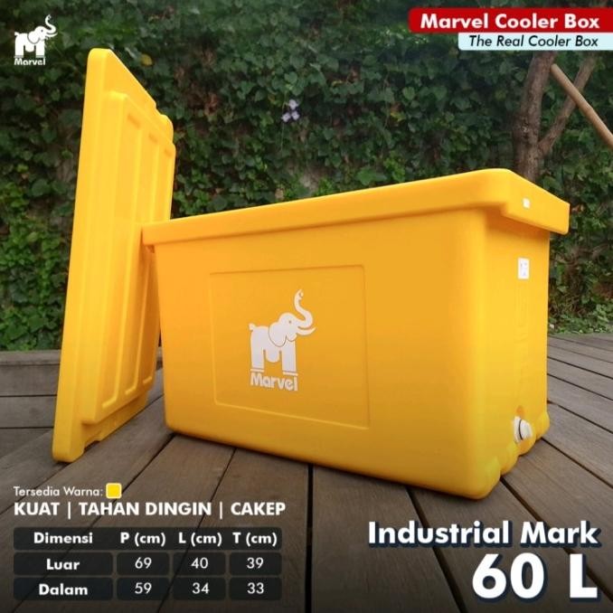 Jual HARGA DISC - Cooler Box 60 Liter Kotak Pendingin Cool Ice Box ...