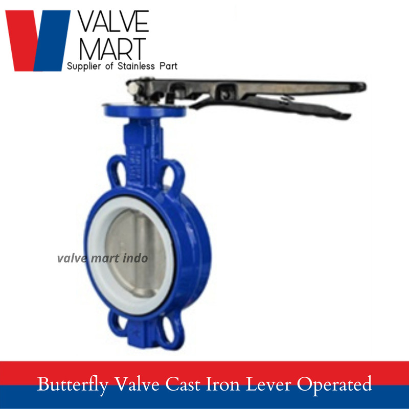 Jual 4" Butterfly Valve Cast Iron Seat PTFE Disc SS 304 Hand Lever ...