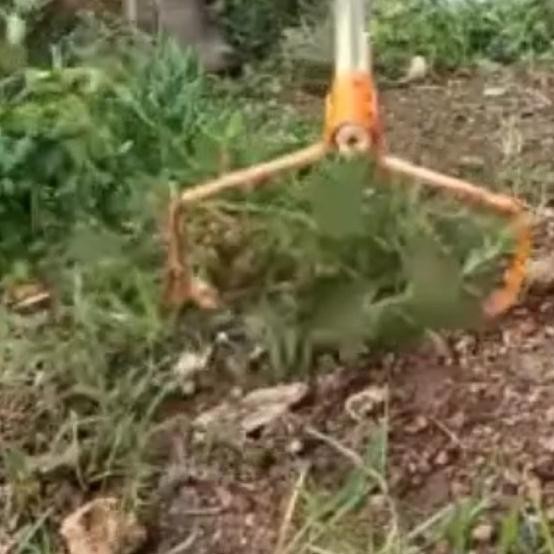 Jual Alat Pembersih Rumput Liar Cabut Potong Rumput Alat Pemotong ...