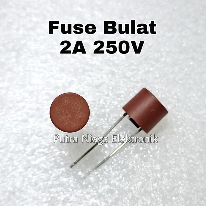Jual Diskon Fuse Bulat 2A 250V Sikring Silinder Sekering PCB Board ...