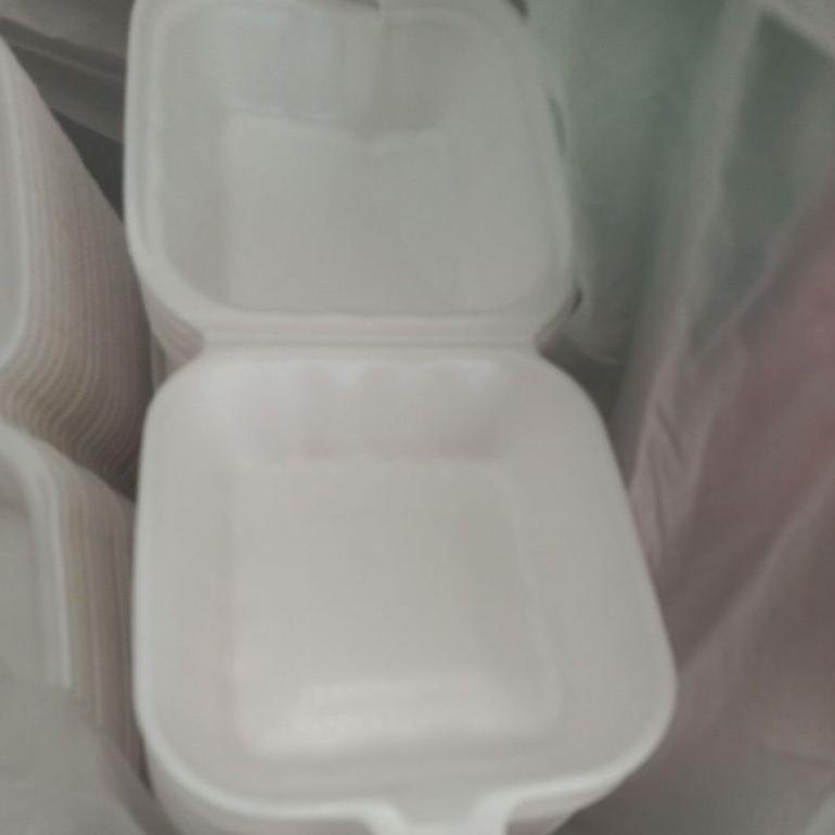 Jual STYROFOAM persegi polos / sekat (10 pcs) | Shopee Indonesia