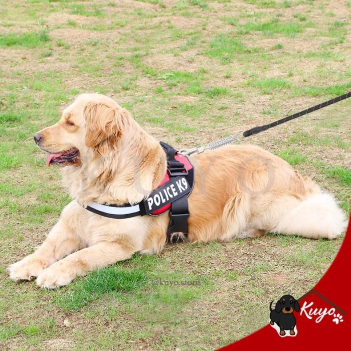 Jual Tali Tuntun Rantai Anjing Sedang Besar - Dog Leash Big Rope Slip ...