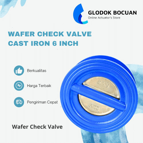Jual 6" Wafer Check Valve Cast Iron CI Disc SS 304 PN16 6 Inch | Shopee ...