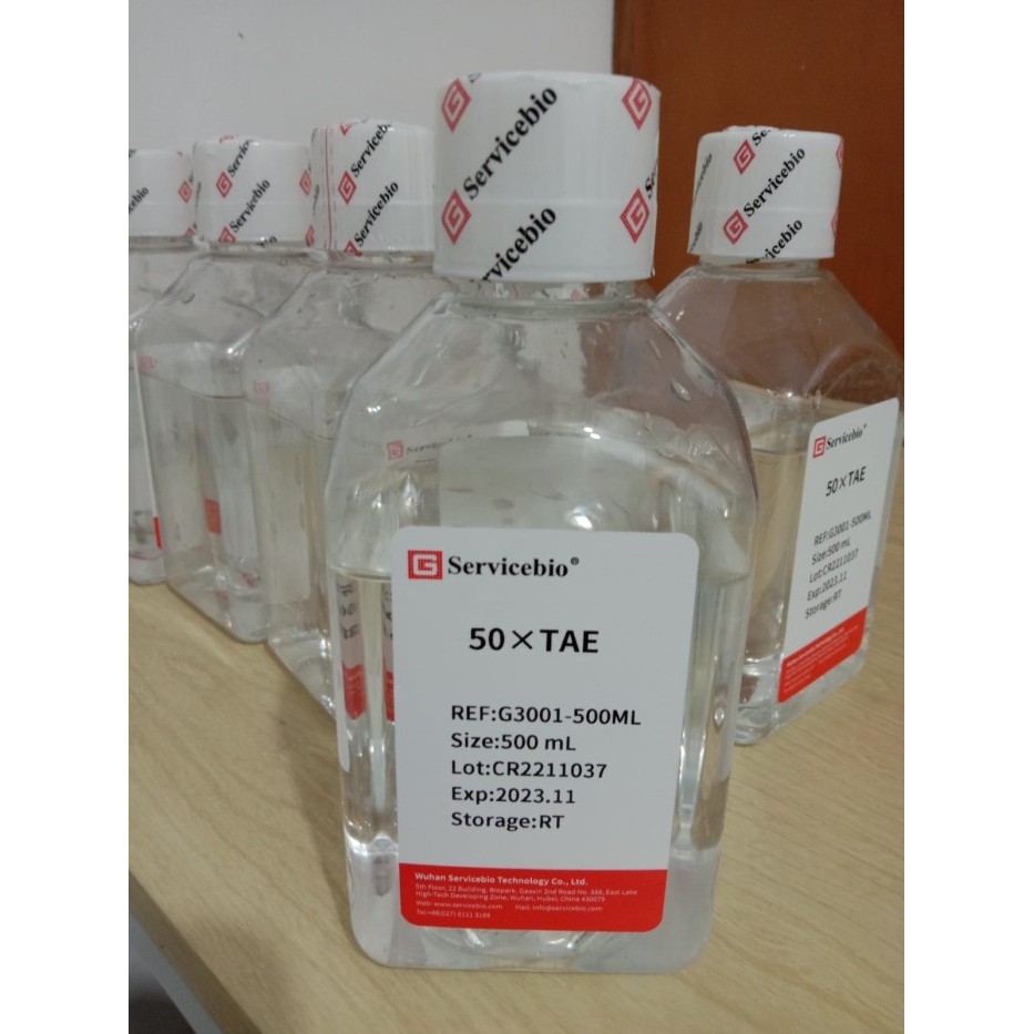 Jual TAE BUFFER 50X, 500ML | Shopee Indonesia