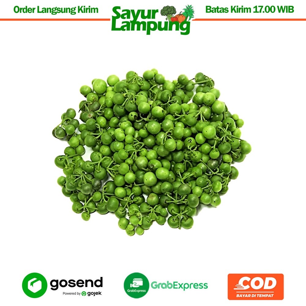 Jual Leunca/Lenca 1 Kg - Sayur Lampung | Shopee Indonesia