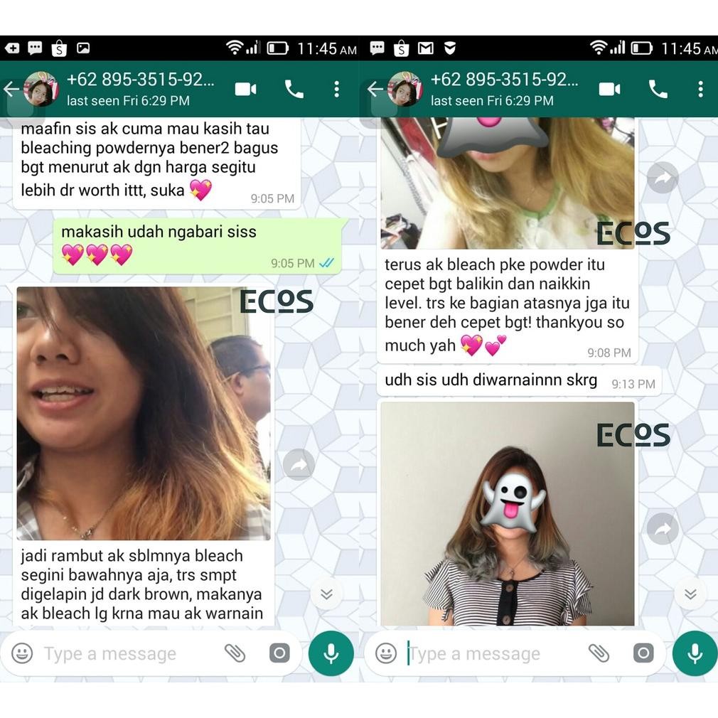 Jual NEW ARRIVAL BK KOREAN BLEACH POWDER 50GR + DEVELOPER 100ML ...