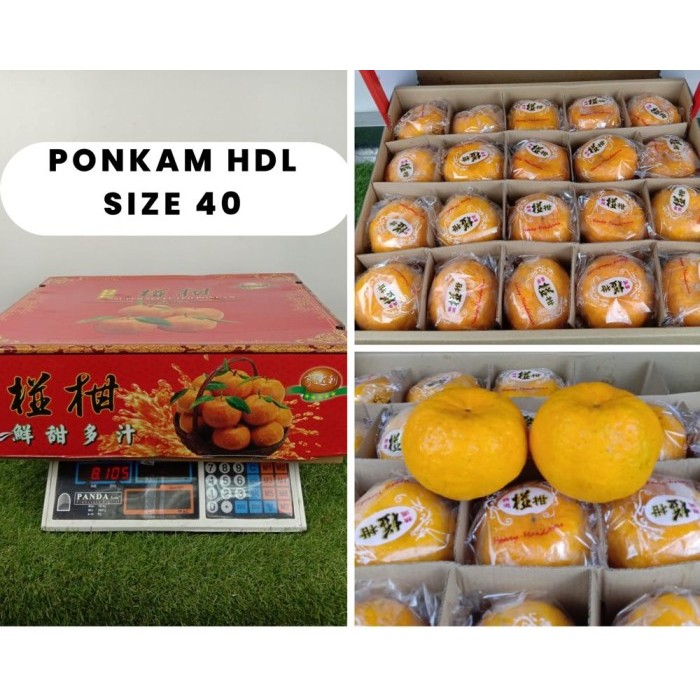 Jual Jeruk Ponkam HDL ISI 40 Spesial Gift Box Imlek | Shopee Indonesia