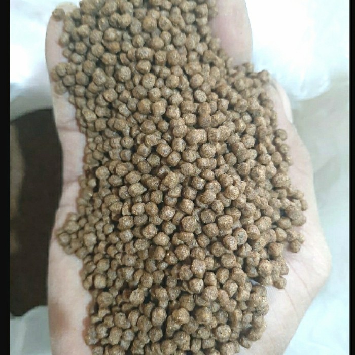 Jual Pelet Pakan Ikan Lele 781 Per Karung/30Kg | Shopee Indonesia