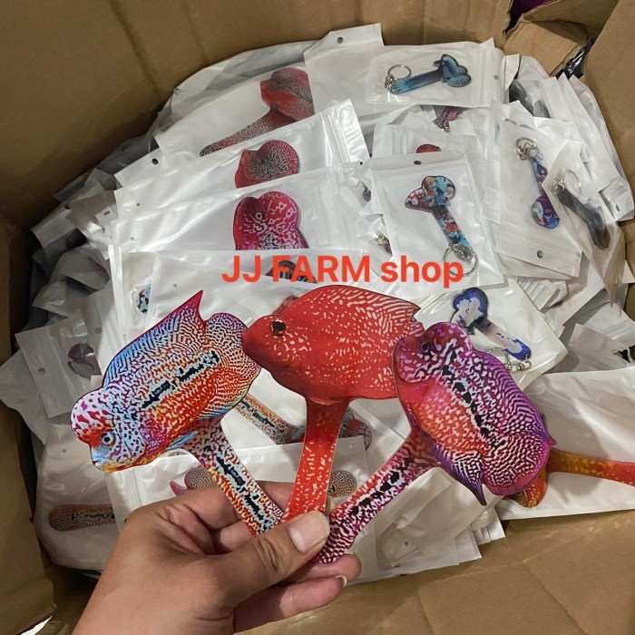 Jual Wayang Ikan Louhan Full Aclyric Stick Full Kuat Ukuran Besar ...