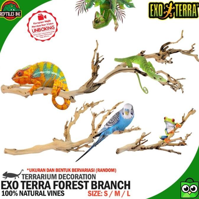Jual Exoterra Forest Branch Ranting Pohon Dekor Kandang Hewan Reptil ...