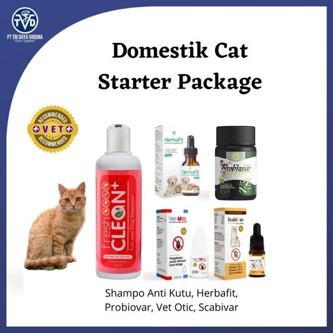 Jual Paket Kesehatan Kucing Domestik | Shopee Indonesia