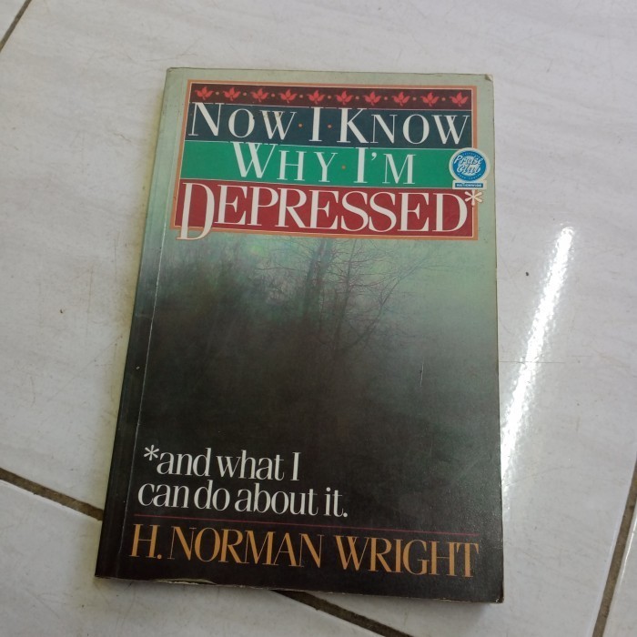 Jual NOW I KNOW WHY I 'M DEPRESSED-H NORMAN WRIGHT-D4 | Shopee Indonesia