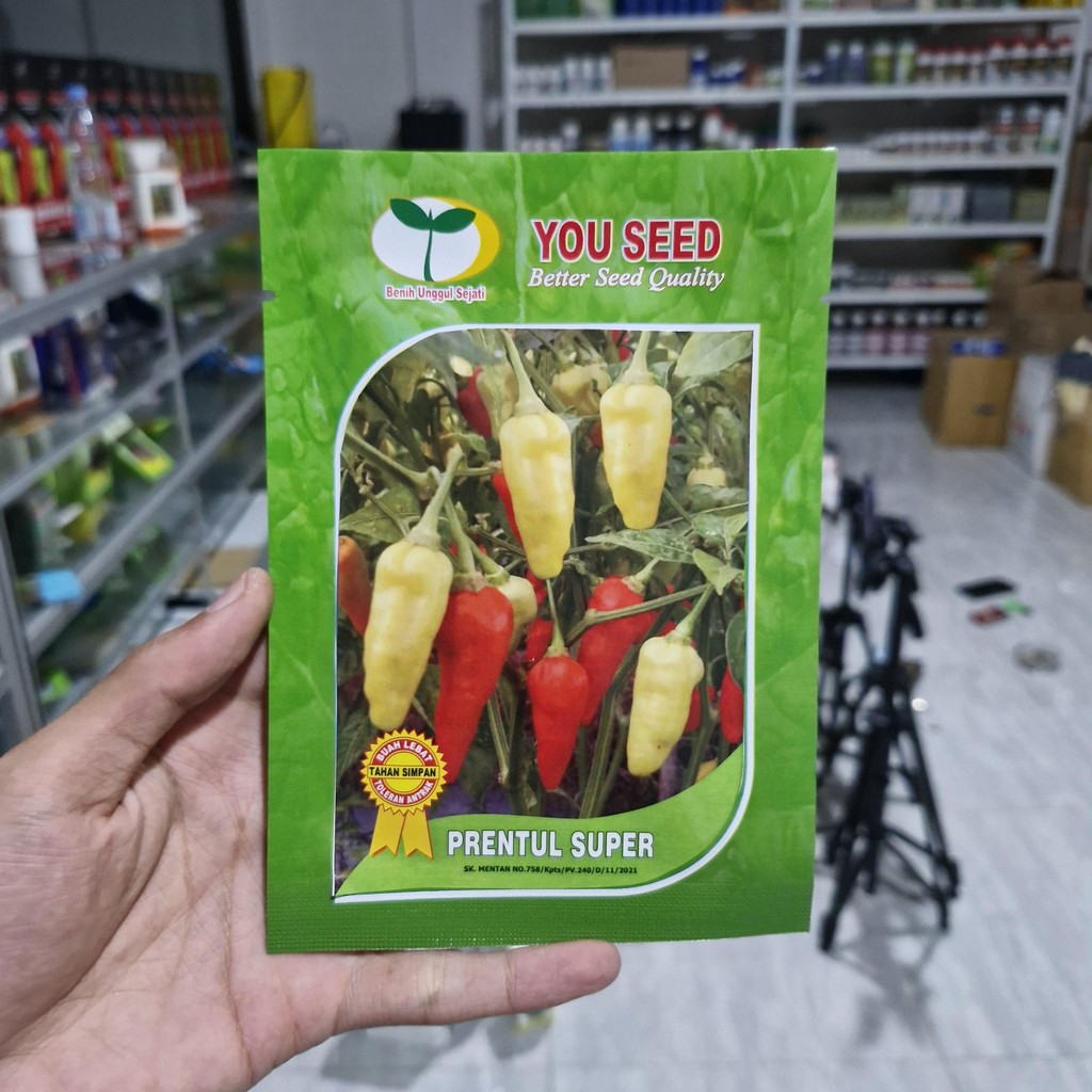 Jual Cabe Prentul Super 10gr original You Seed Benih Tanaman Tumbuhan ...