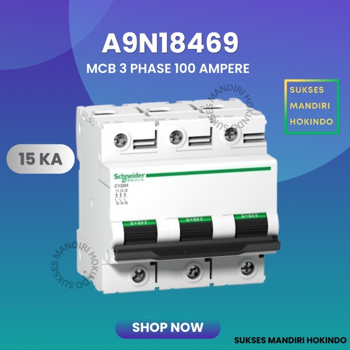 Jual MCB C120H 3P 100A 3 Phase 100 Ampere 15kA Schneider Original SNI | Shopee Indonesia