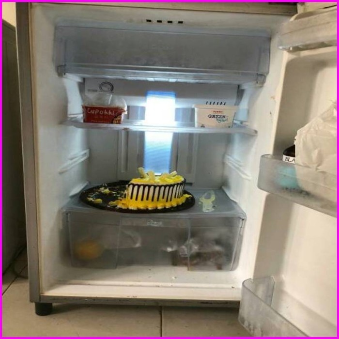 Jual RAK KULKAS LEMARI ES TOSHIBA GLACIO 2 PINTU CUSTOM | Shopee Indonesia