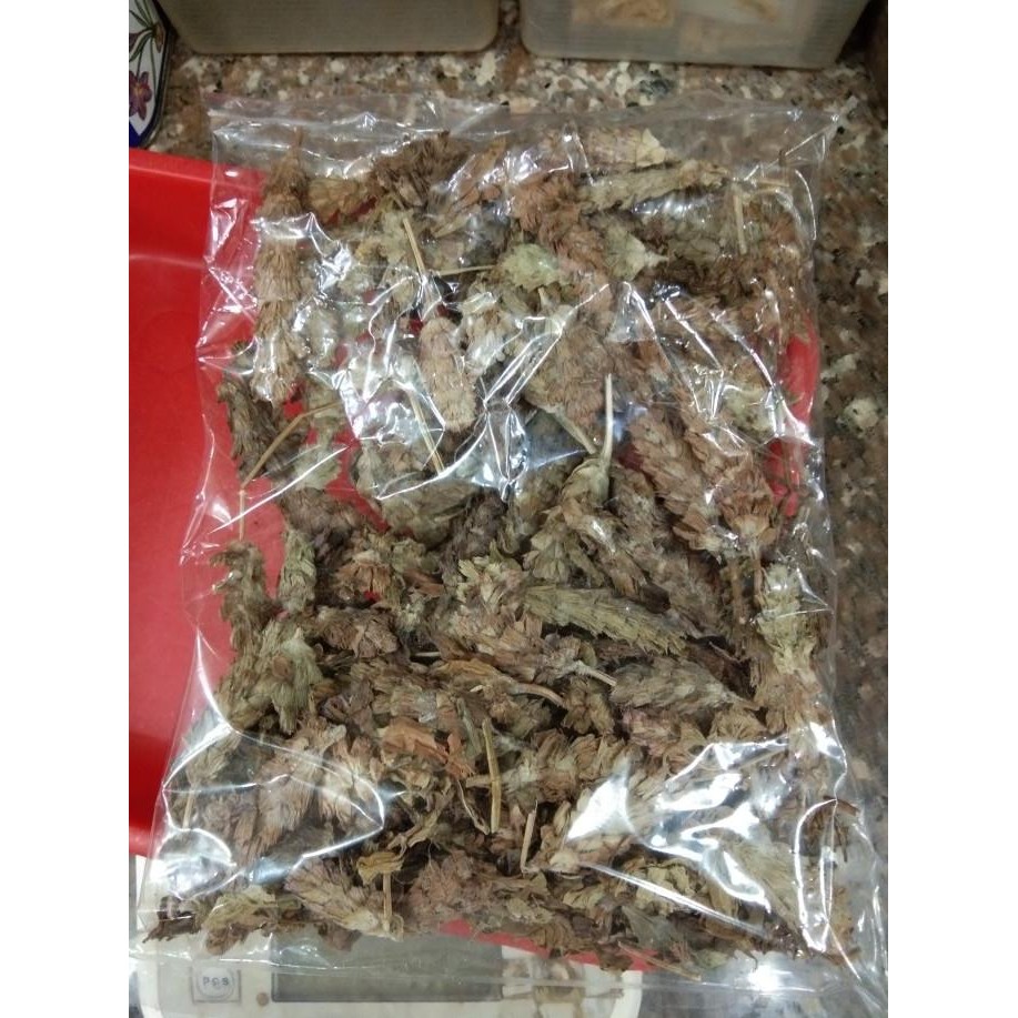 Jual Buruan serbu] Xia Ku Cao Dried Chinese Spica Prunellae Ha Ku Cho ...