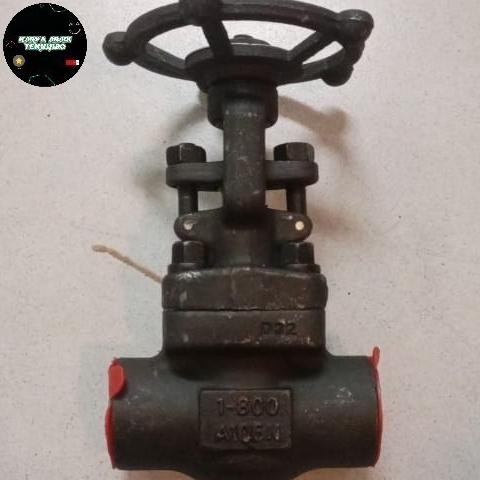 Jual GATE VALVE A 105 FORGET STEEL CLASS 800 DRAT 1/2" INCH / DN15 NPT ...