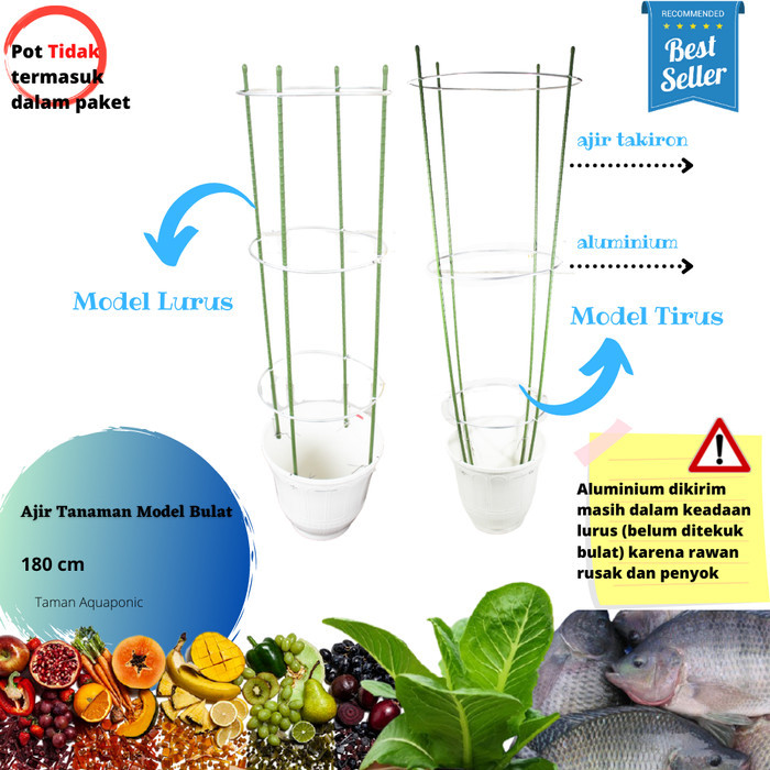 Jual Paket Ajir Tanaman Tabulampot Model Bulat 11 mm x 180 cm | Shopee Indonesia