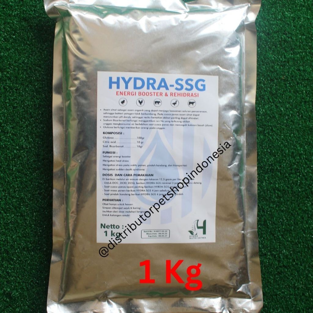 Jual HYDRA SSG ENERGI BOOSTER dan REHIDRASI Kemasan 1 Kg | Shopee Indonesia