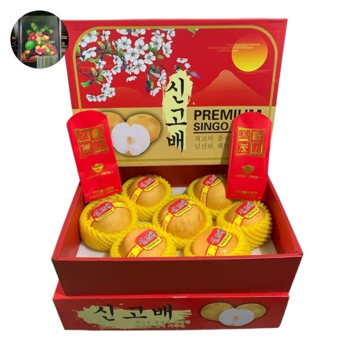Jual PEAR KOREA SINGO ASLI PREMIUM FRESH IMPORT PER BUAH | Shopee Indonesia