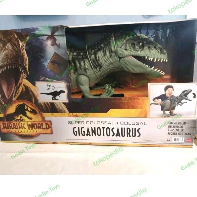 Jual Jurassic World Dominion Giganotosaurus Super Colossal Mattel ...