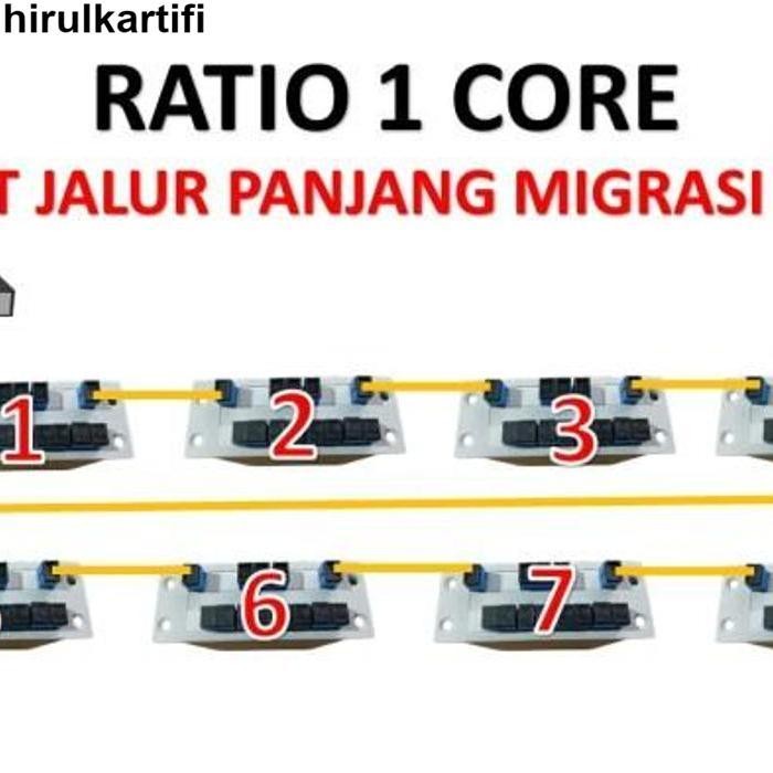 Jual 100% Original PAKET RATIO 8 ODP LENGKAP | Shopee Indonesia