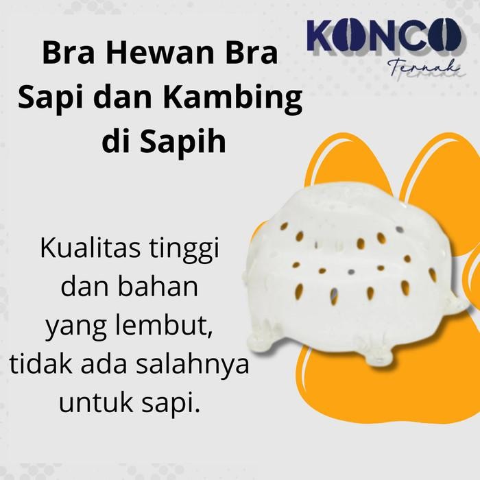 Jual Bra Hewan Bra Sapi dan Kambing di Sapih Pencegahan Mastitis Murah ...