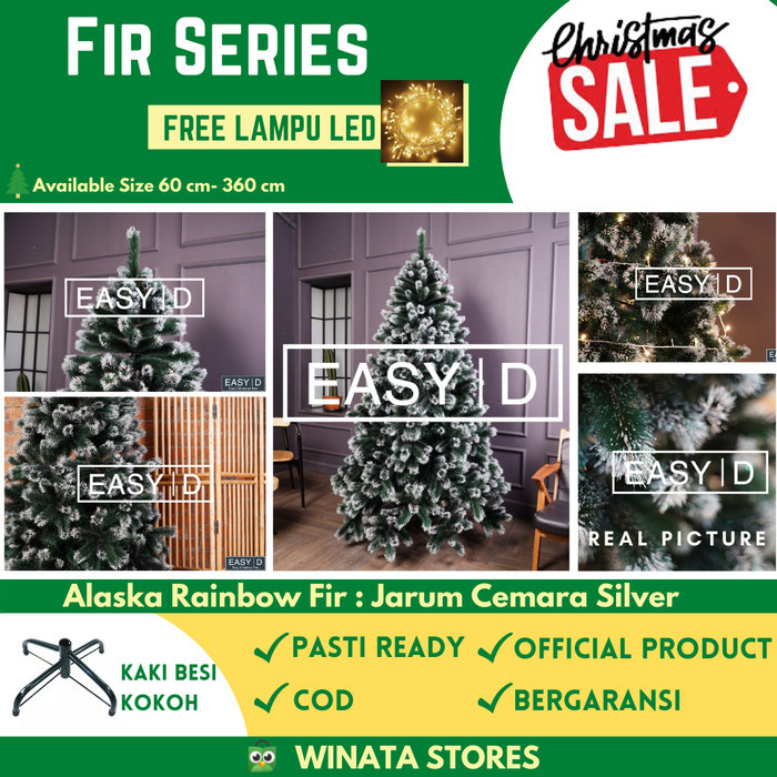 Jual BRG BARU Jual Pohon Natal tipe ALASKA RAINBOW FIR PINE TREE ukuran ...