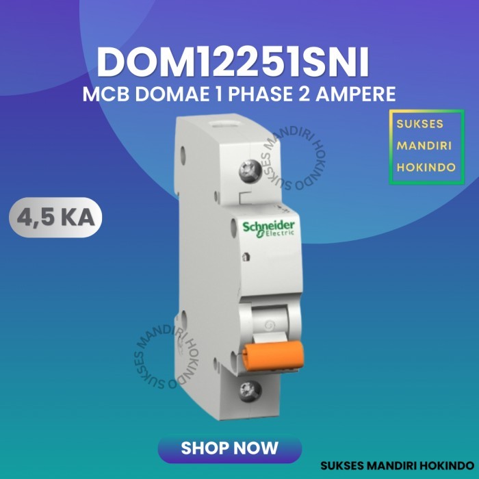 Jual MCB 1p 2a 1 Phase 2 Ampere Original SNI Schneider DOMAE 1Pas 2Amper | Shopee Indonesia
