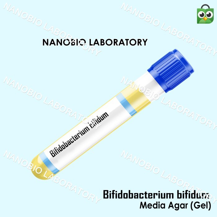 Jual Isolat Culture Bifidobacterium bifidum Media Gel Agar | Shopee ...