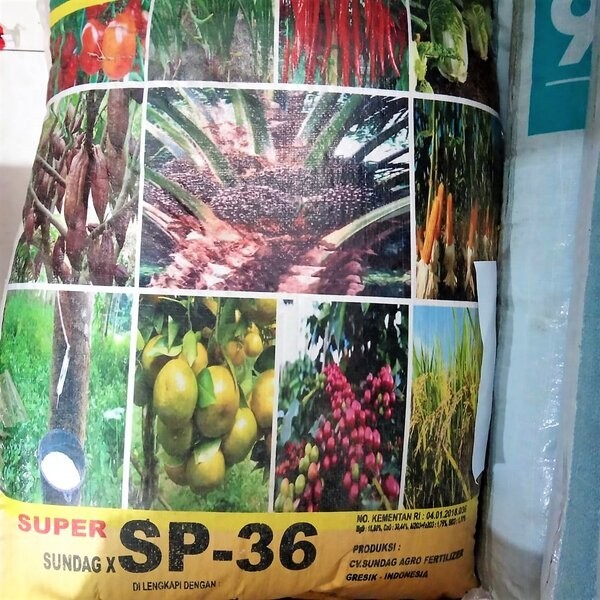 Jual Pupuk GSP Super Phosphate Sundag 50 kg Fosfat Tanaman TSP SP36 SP 36 | Shopee Indonesia