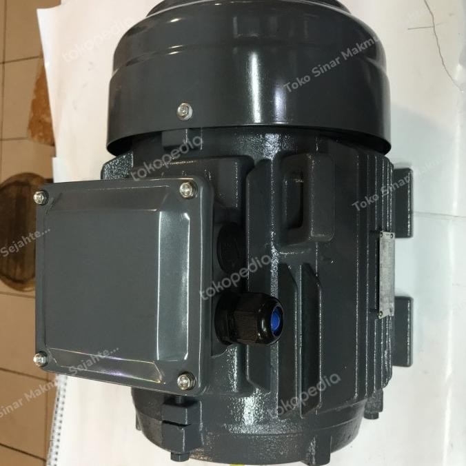 Jual Teco Motor 1 Hp 4 Pole Foot/ Dinamo Teco 1 Hp 0,75 Kw 4 Pole 3 Phase Kode 884169 | Shopee ...