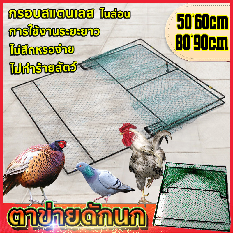 Jual Perangkap Ayam Jaring Semua Jenis Jaring Burung Rangka Baja Nilon ...