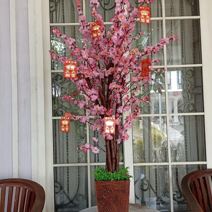 Jual Pohon imlek angpao meihua mehwa 145 cm besar tinggi hiasan sincia ...