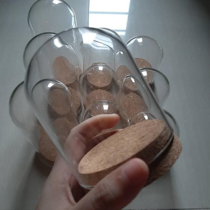 Jual Glass Dome Kaca Bunga Kering Preserved Rose Flower CM | Shopee ...
