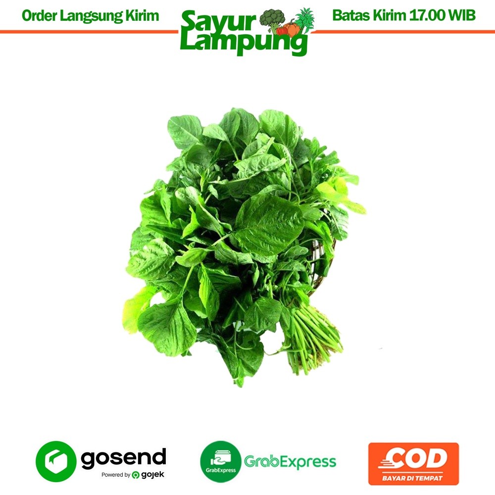Jual Bayem Bayam Gajah 1 Ikat - Sayur Lampung | Shopee Indonesia
